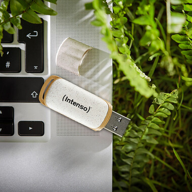 INTENSO USB-Stick Green Line 64GB 3540490 USB 3.2 | postshop.ch