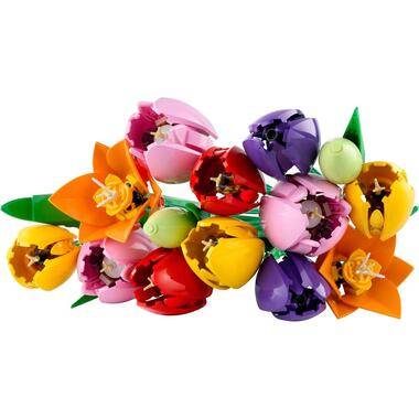 LEGO® Botanicals Tulip Bouquet 11501 | postshop.ch