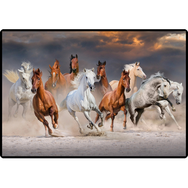 HANSA Sous-main 50x34cm 41-6000.082 Cheval | postshop.ch