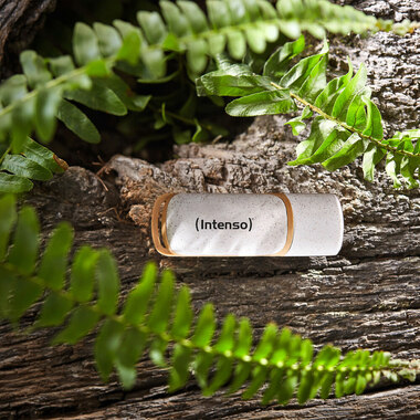 INTENSO USB-Stick Green Line 128GB 3540491 USB 3.2 | postshop.ch