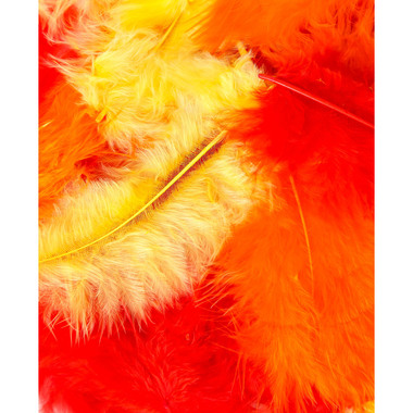 I AM CREATIVE Dekofedern 3g 4060.41 Mix 1, 5-8cm | postshop.ch