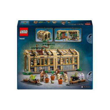 LEGO® Harry Potter Hogwarts Castle: Herbology Class 76445 | postshop.ch