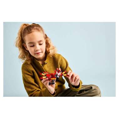 LEGO® Harry Potter Fawkes: Dumbledores Phönix 76448 | postshop.ch