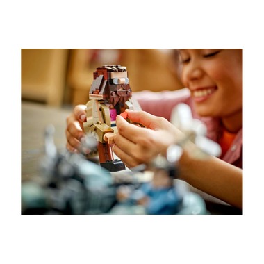 LEGO® Harry Potter Hagrid's and Harry's Motorcycle Tour 76443 | postshop.ch